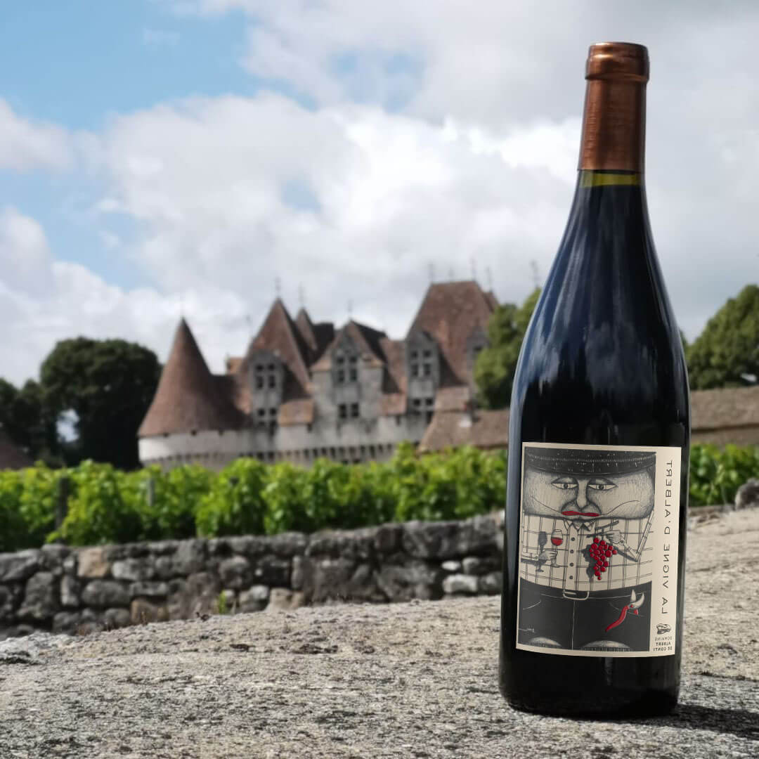 Domaine de Albert Conti – Weinhandlung SUFF - Schöner Trinken